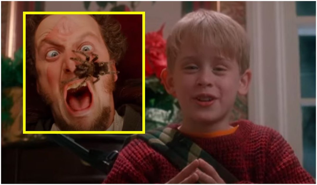 Po latach wyszło na jaw kłamstwo z planu "Kevina samego w domu". Tę ...