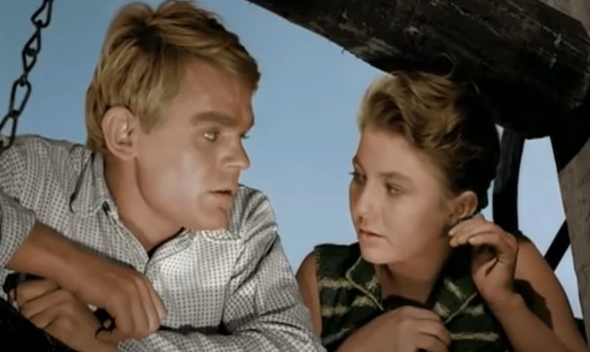 "Sami swoi". Jerzy Janeczek zginął od użądlenia pszczoły. Jak wygląda ...