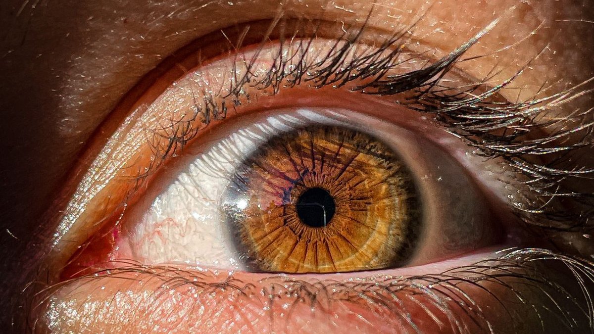 Biofazolin – wskazanie, dawkowanie, działania niepożądane antybiotyku