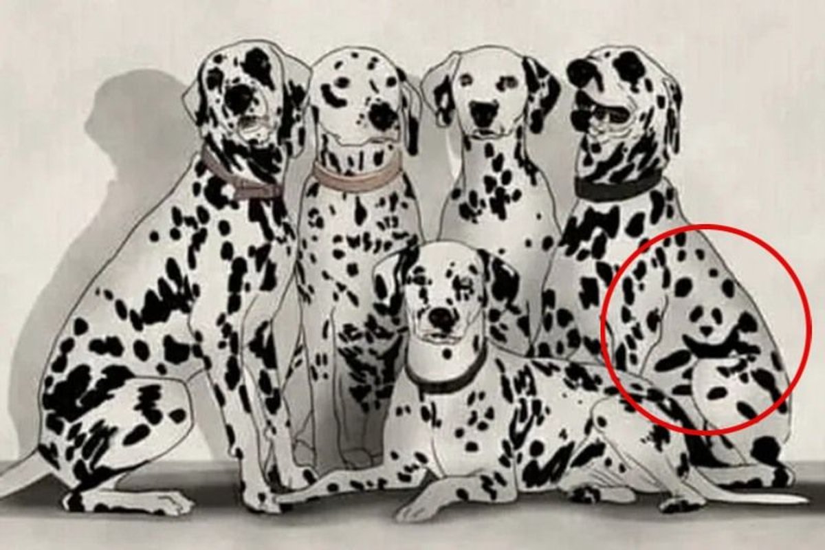 Szybki test na spostrzegawczość. Masz 20 sekund na znalezienie pandy ...