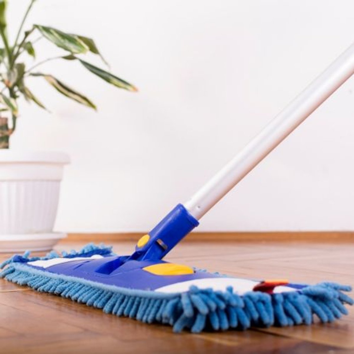 Tym proszkiem dopierzesz nawet najbardziej zabrudzonego mopa. Będzie ...