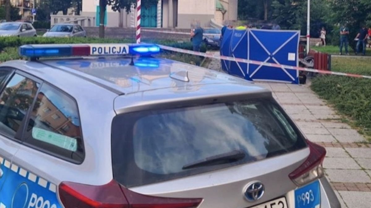 Nowe informacje o nożowniku, który zaatakował 5-latka w Poznaniu. Kim ... Nowe informacje o nożowniku, który zaatakował 5-latka w Poznaniu. Kim ...