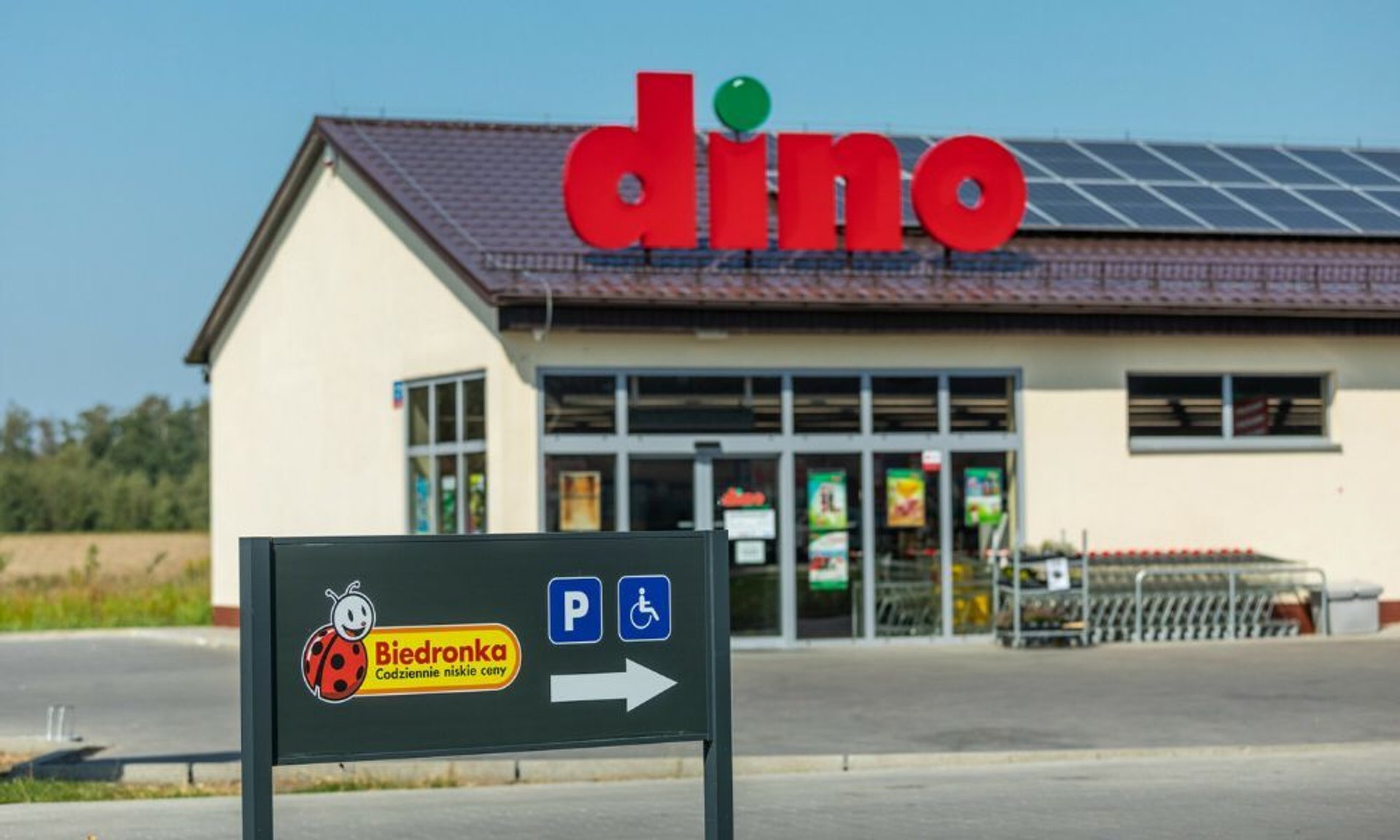 Kim jest właściciel sieci Dino Tomasz Biernacki? | Świat Gwiazd