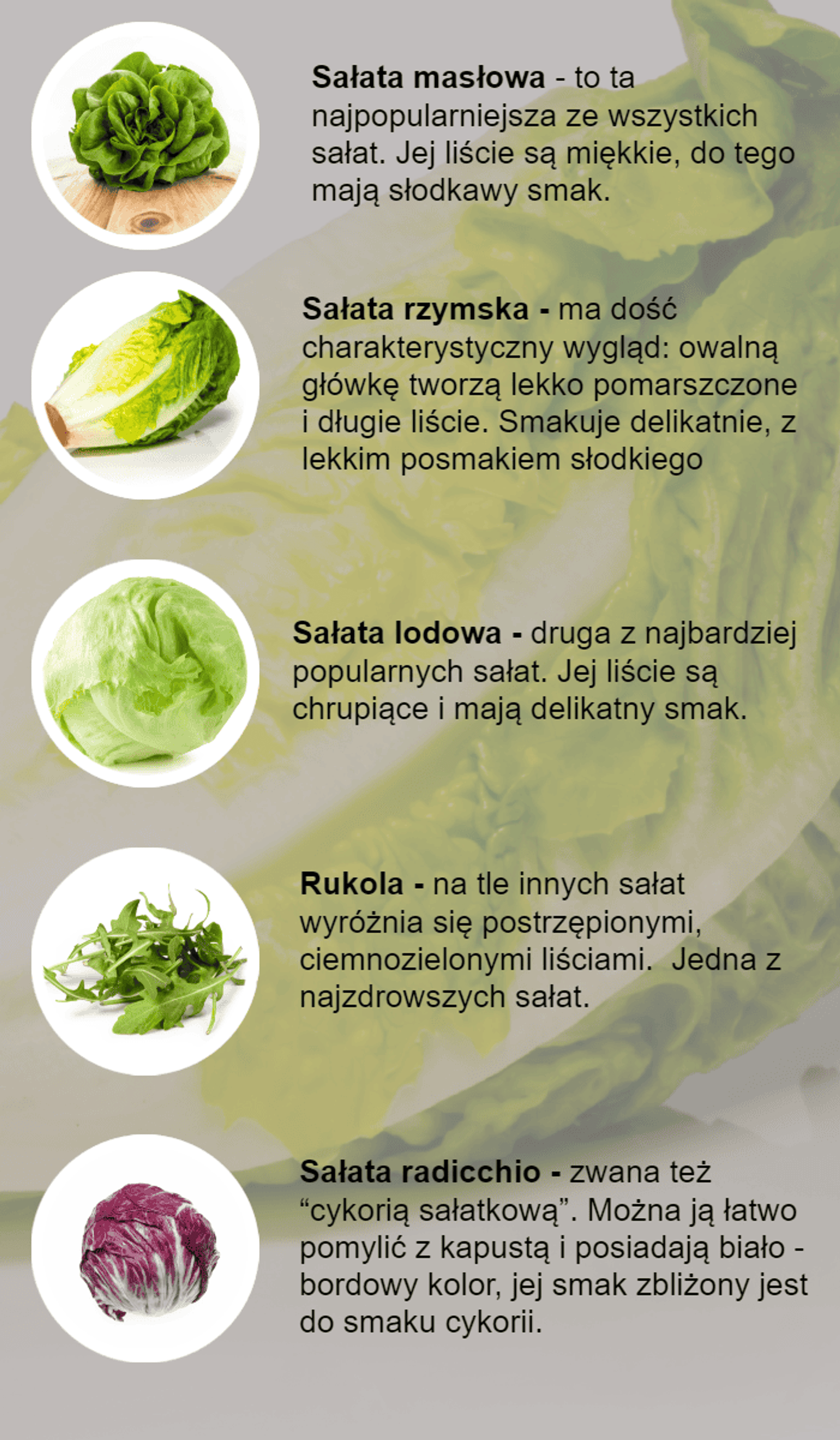 Najlepszy sposób nawożenia sałaty. Wyrośnie bujna i jędrna, więcej nie ...