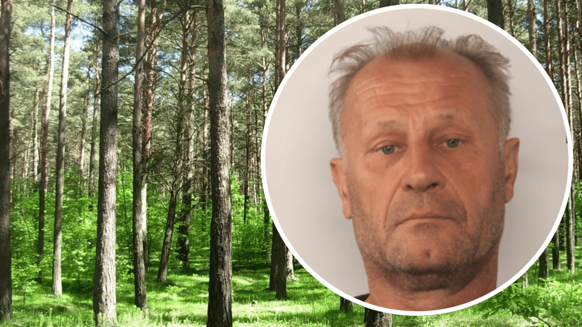 Aktualności | Goniec.pl