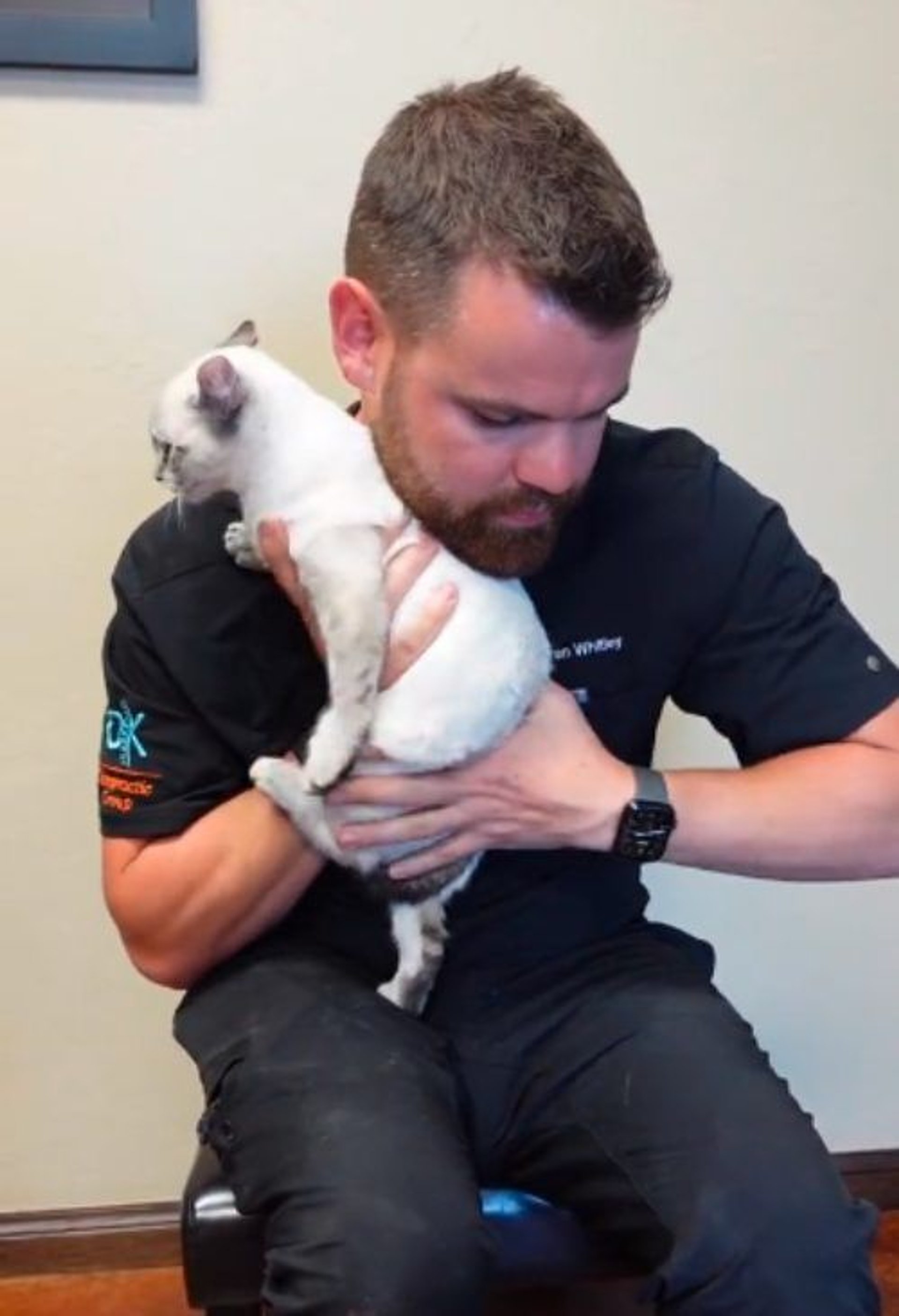 Zabrali kota do zwierzęcego kręgarza. Gdy ucisnął z siłą kręgosłup ...