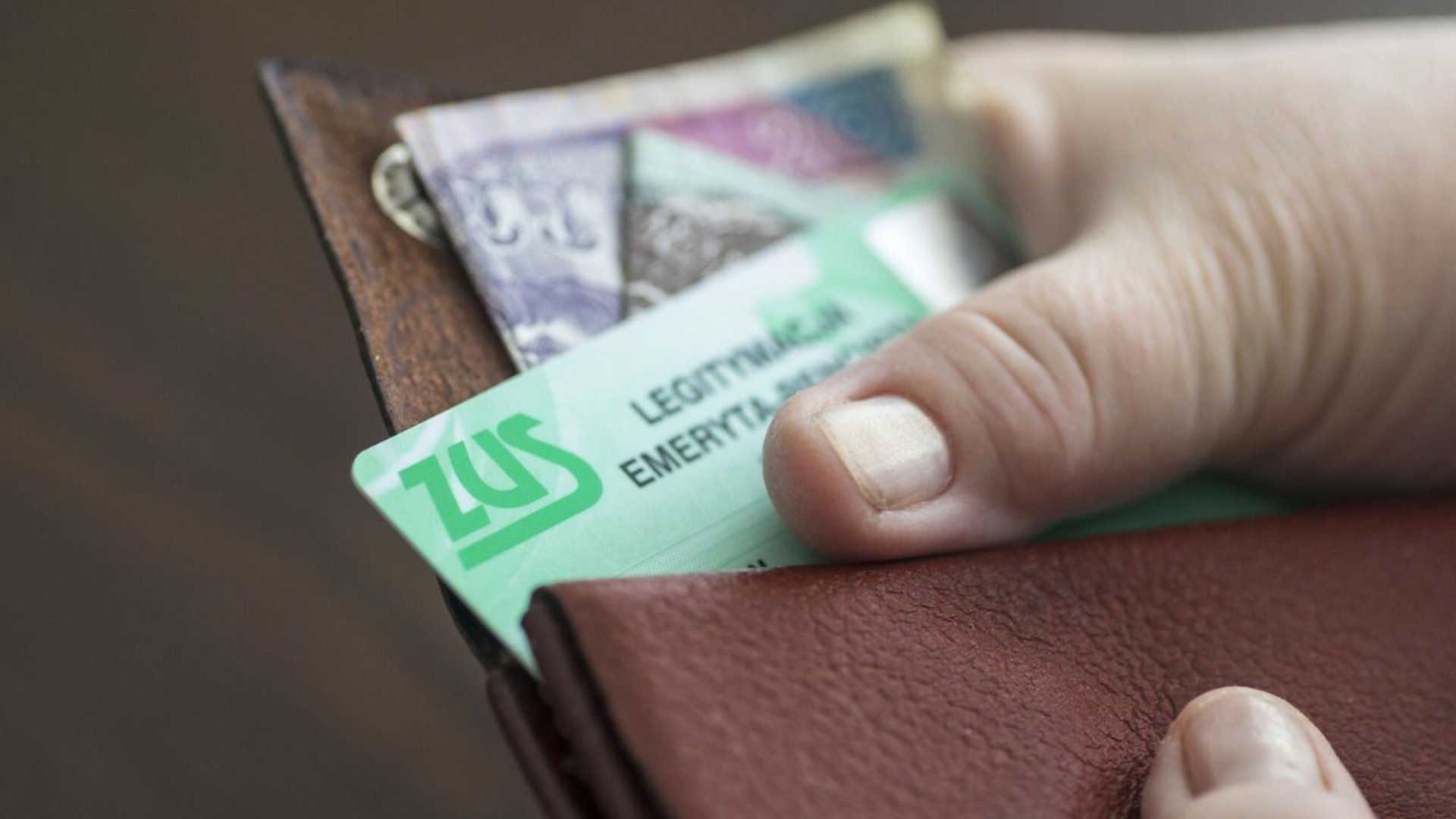 Czy Karta Seniora to to samo, co karta emeryta? Trzeba znać różnice | Silver Lelum