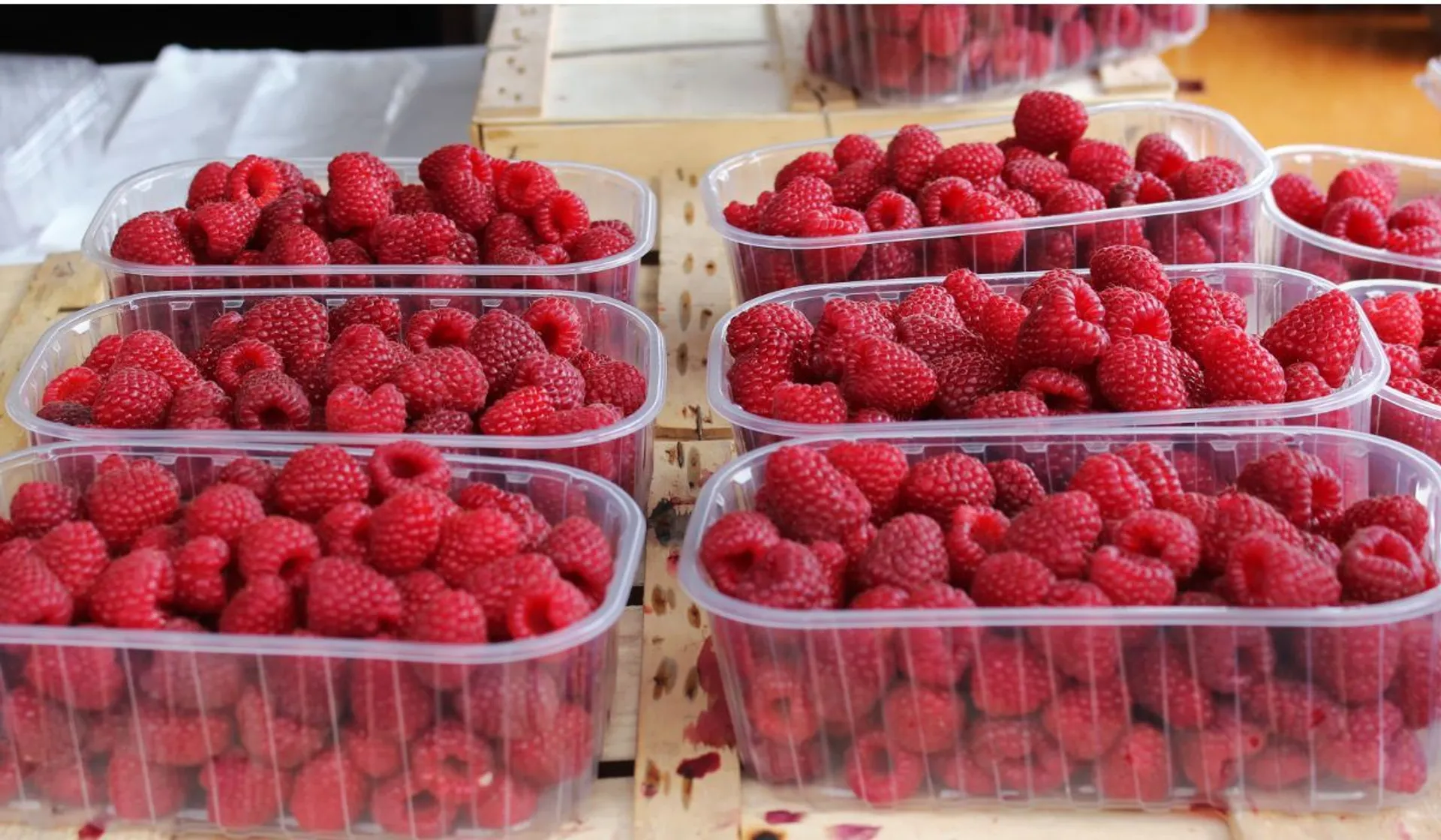 Zawijam mięso z farszem i wkładam do piekarnika. Nie znam lepszego ...