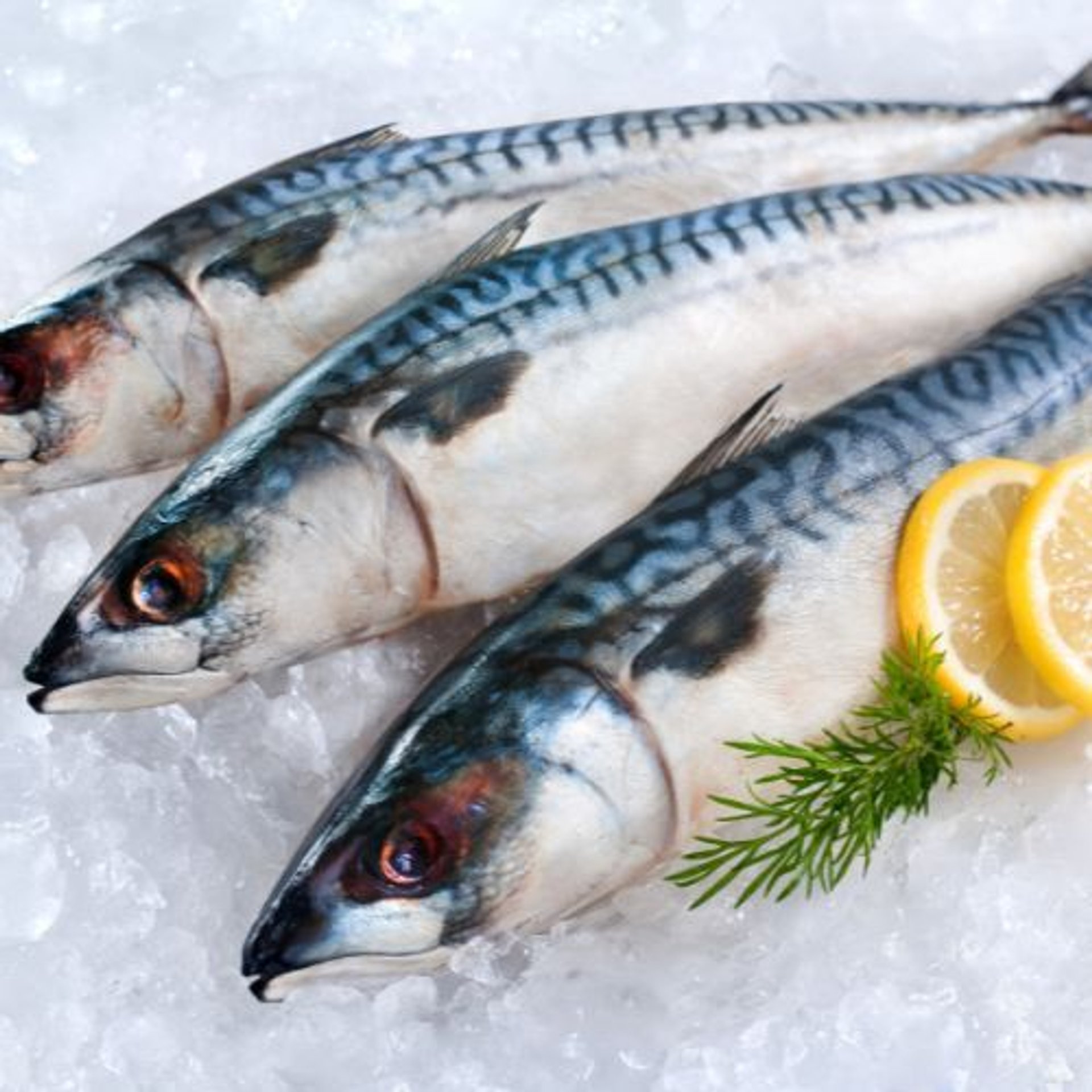 Polacy nie znają tej ryby, a jest pyszna i zdrowa. Niedawno pojawiła ...