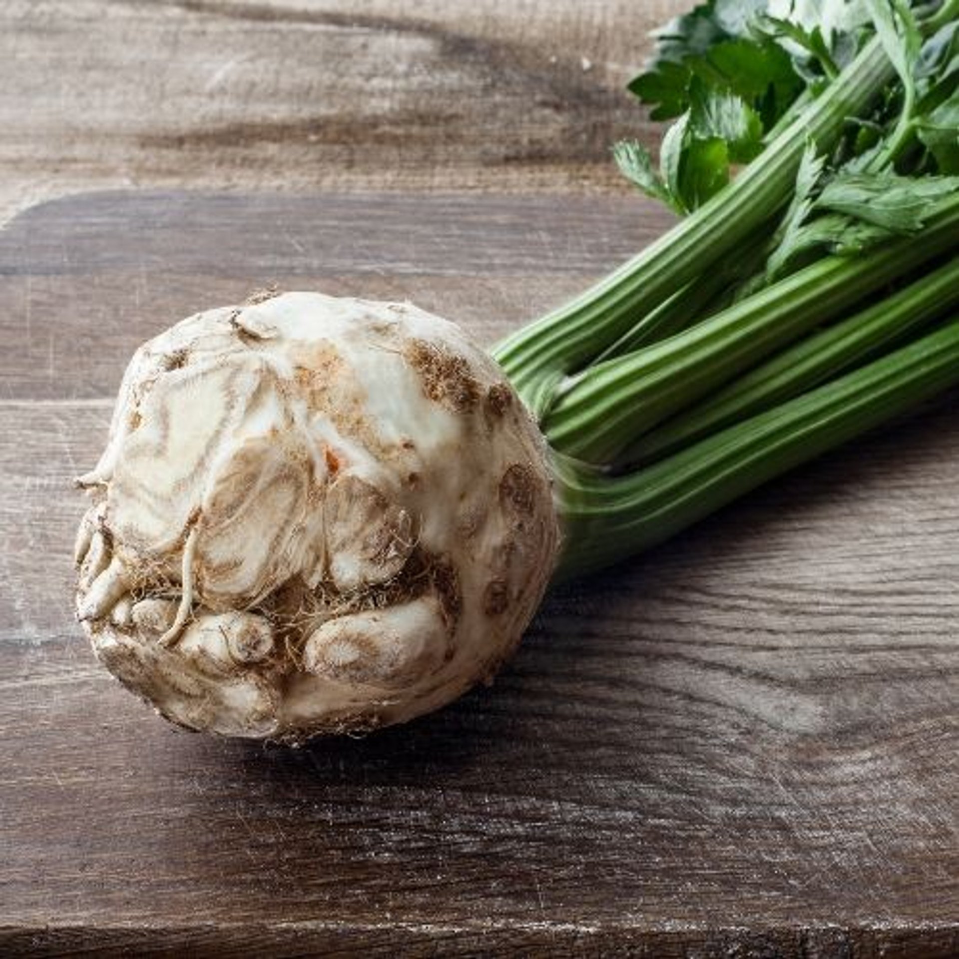 Zrób to już teraz. Seler korzeniowy będzie wielkości dyni | Domek i ogródek